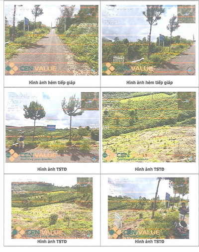 Bán đấu giá bất động sản tại Lâm Đồng